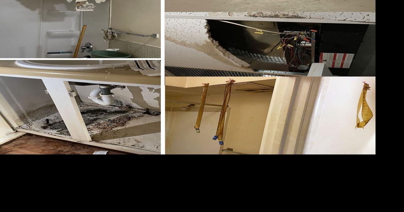 Dozens of citations, but mold, mice and cold water remain in Ferguson ...