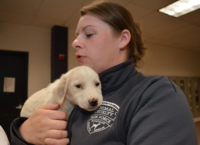 Humane Society rescues 45 neglected animals from property in Lincoln County
