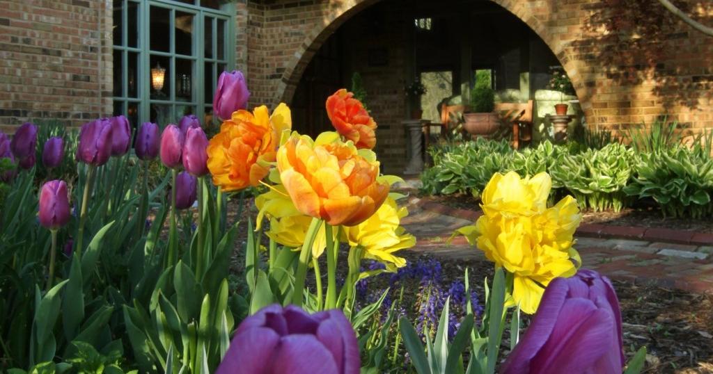 At Home with Christine Coyle Peick