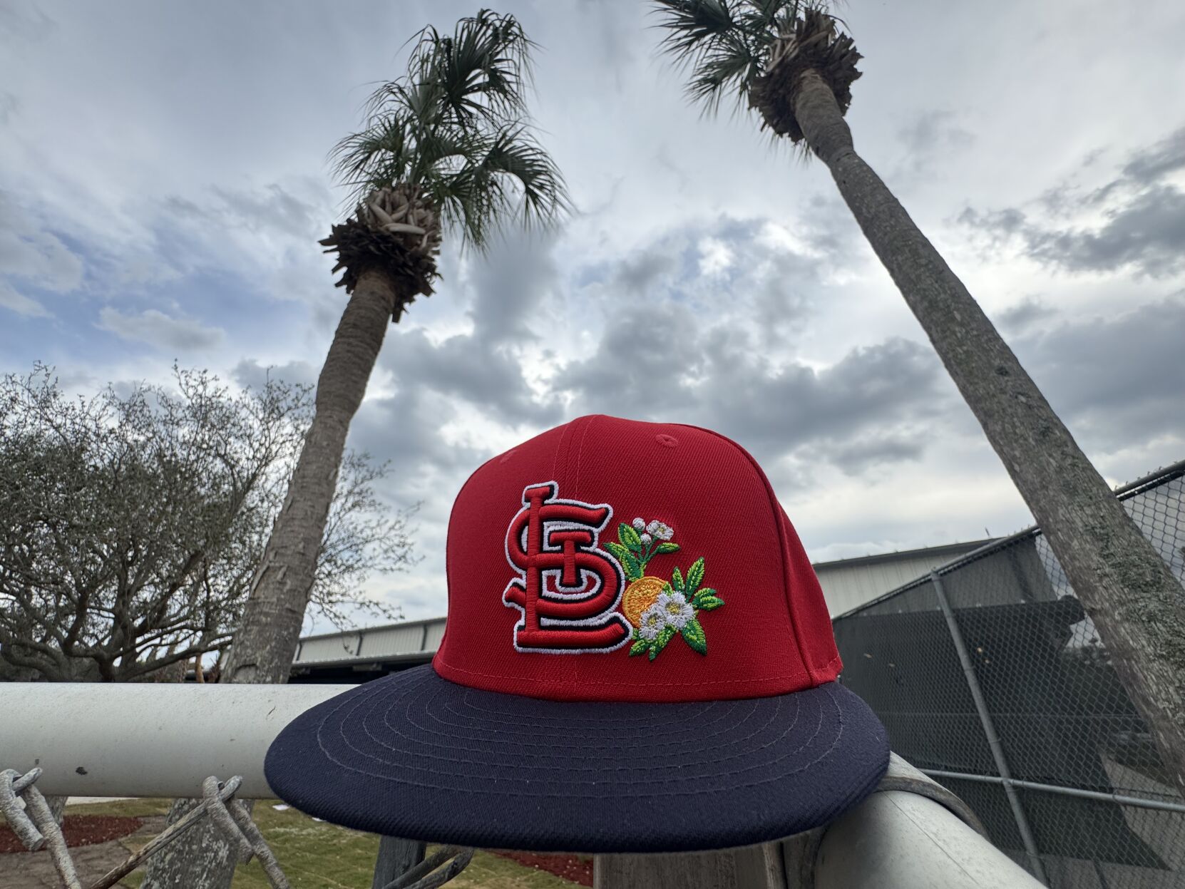 First look at details on Cardinals' spring training caps