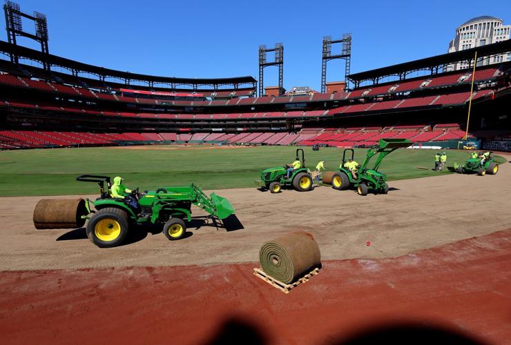 Busch Stadium in St. Louis gets all new grass
