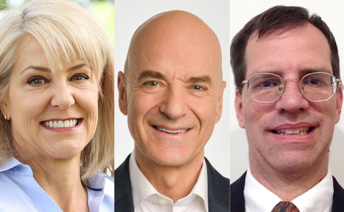 Republicans to target St. Louis County state Senate seat that Dems ...