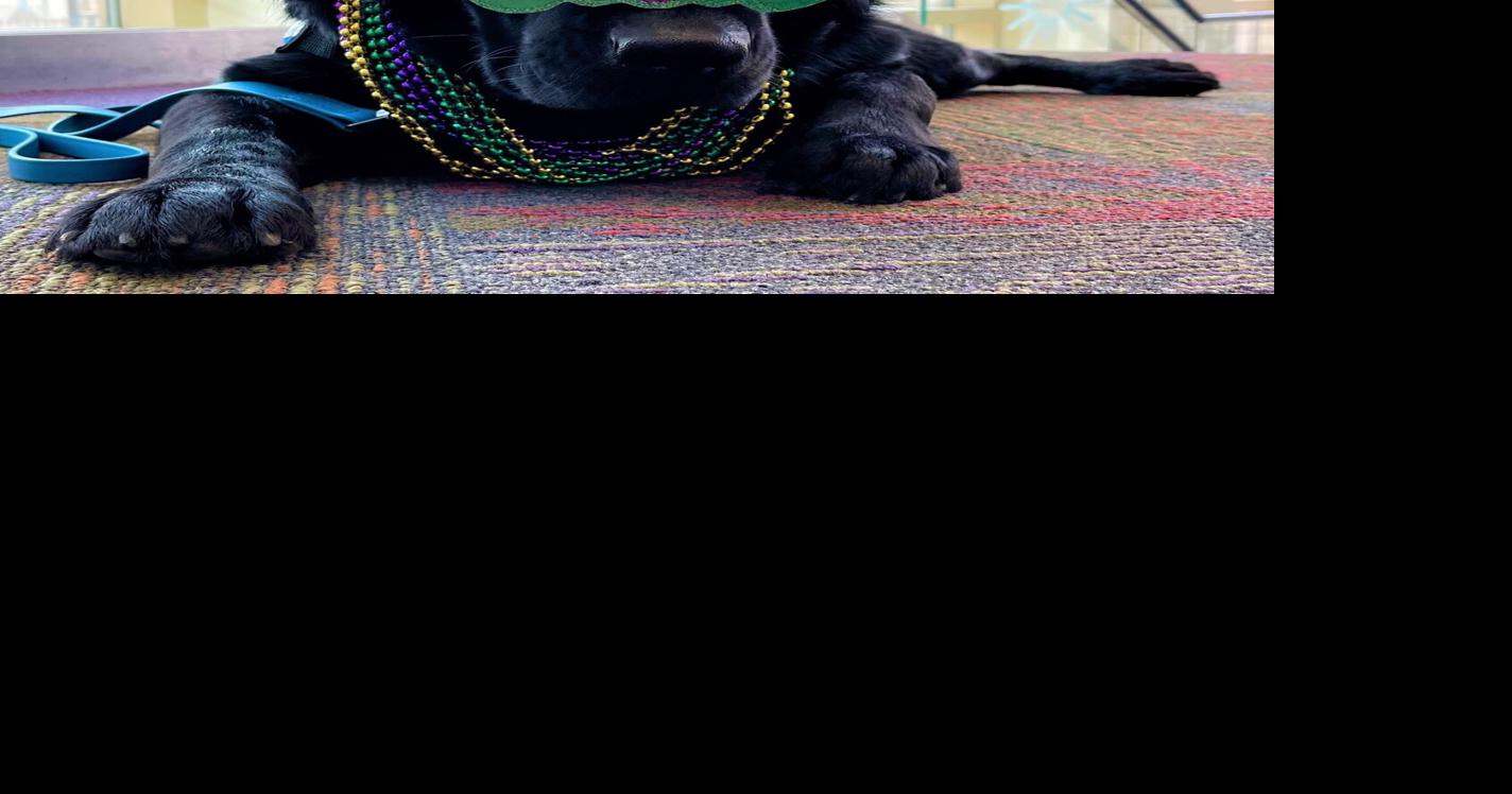 2021 Virtual Purina Pet Parade participants