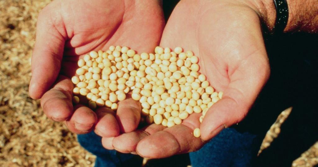 Leaders out at Missouri soybean group