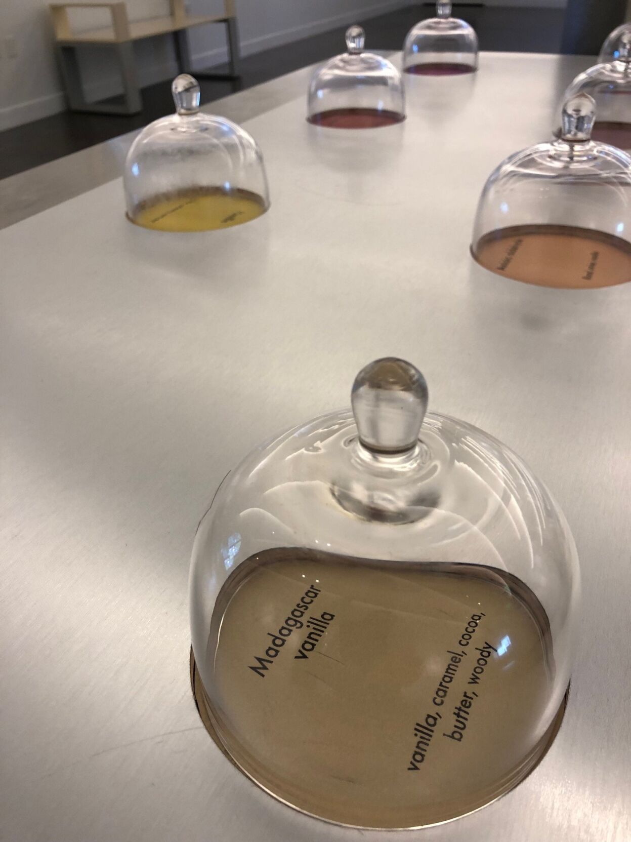 MoBot exhibit sniffs out the science behind plant aromas