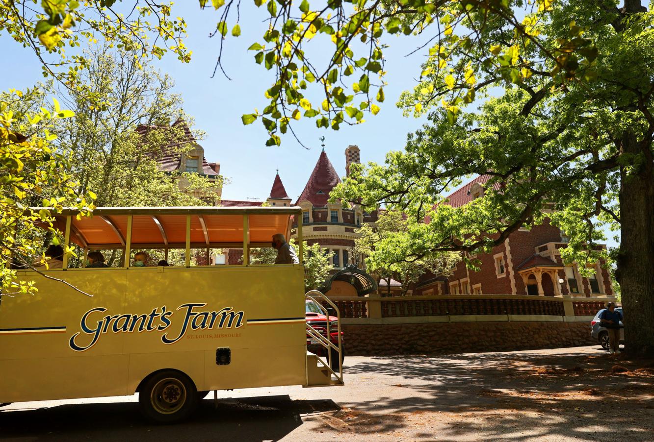 Busch family to assume operations of Grant’s Farm at end of lease with ...