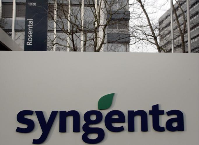 U.S. farmer lawsuits over Syngenta GMO corn granted class status