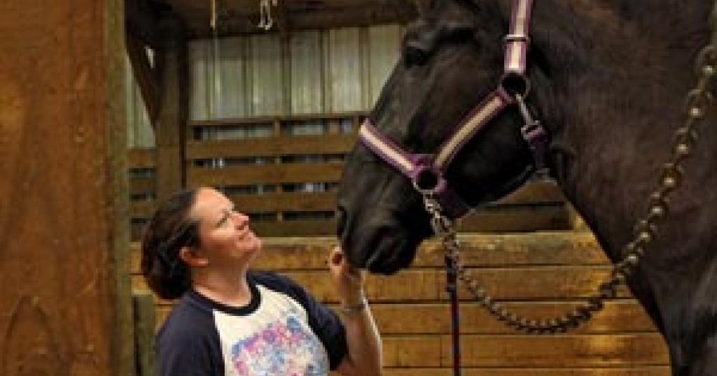 St. Louis police investigate horse carriage-jacking, attack