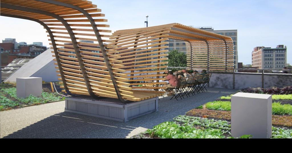 Food Roof farm to be built downtown