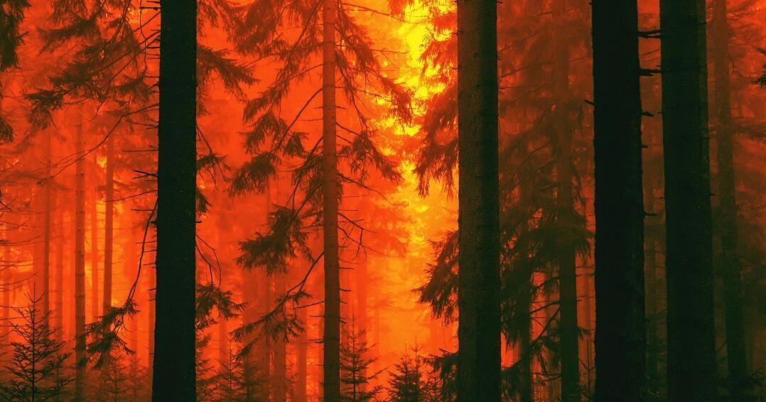 Letter: FEMA should officially recognize heat, smoke as disasters