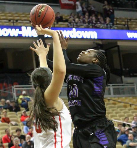 Johnson makes amends for semifinal loss with robust effort