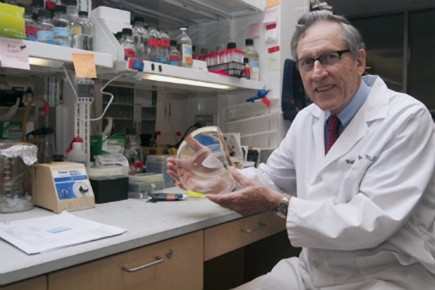 National medical group honors St. Louis. U. professor