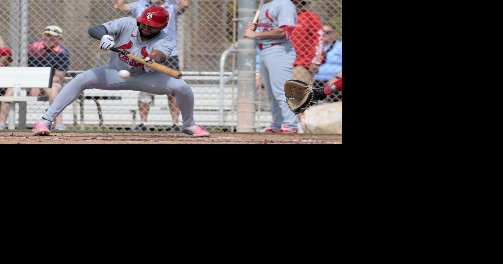 Inside look at situational shifts in Cardinals' hitting prep