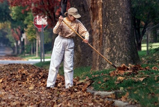 'The Decider' -- Mowing Lawns vs. Raking Leaves
