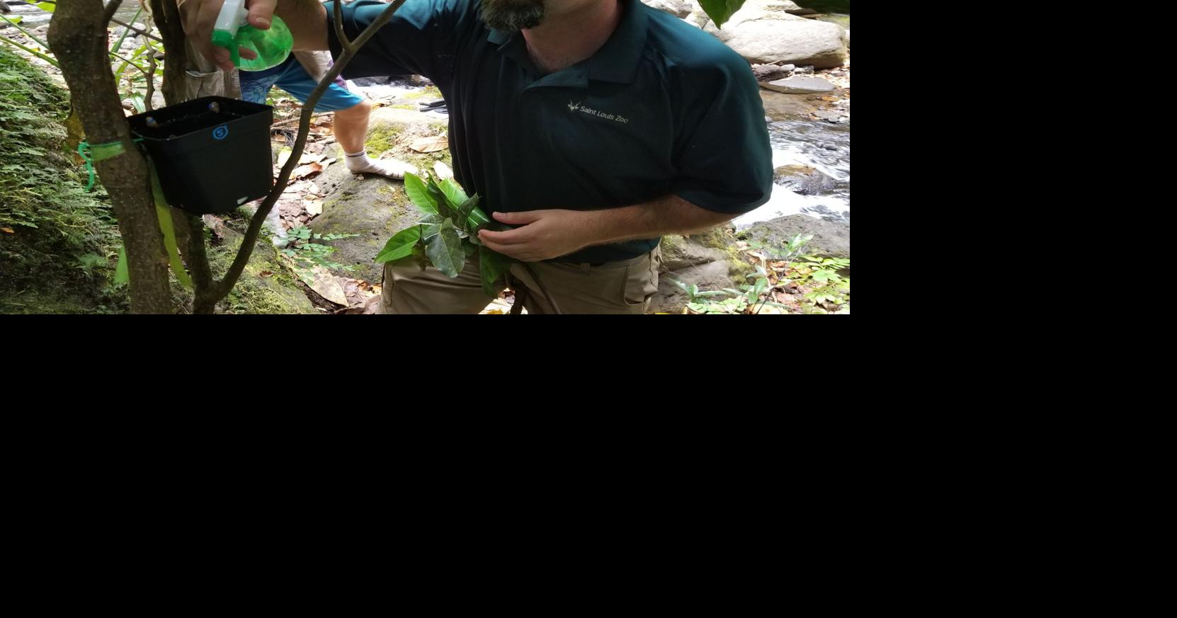 Spotlight: Zookeeper enjoys bad weather, saving snails, in Tahiti