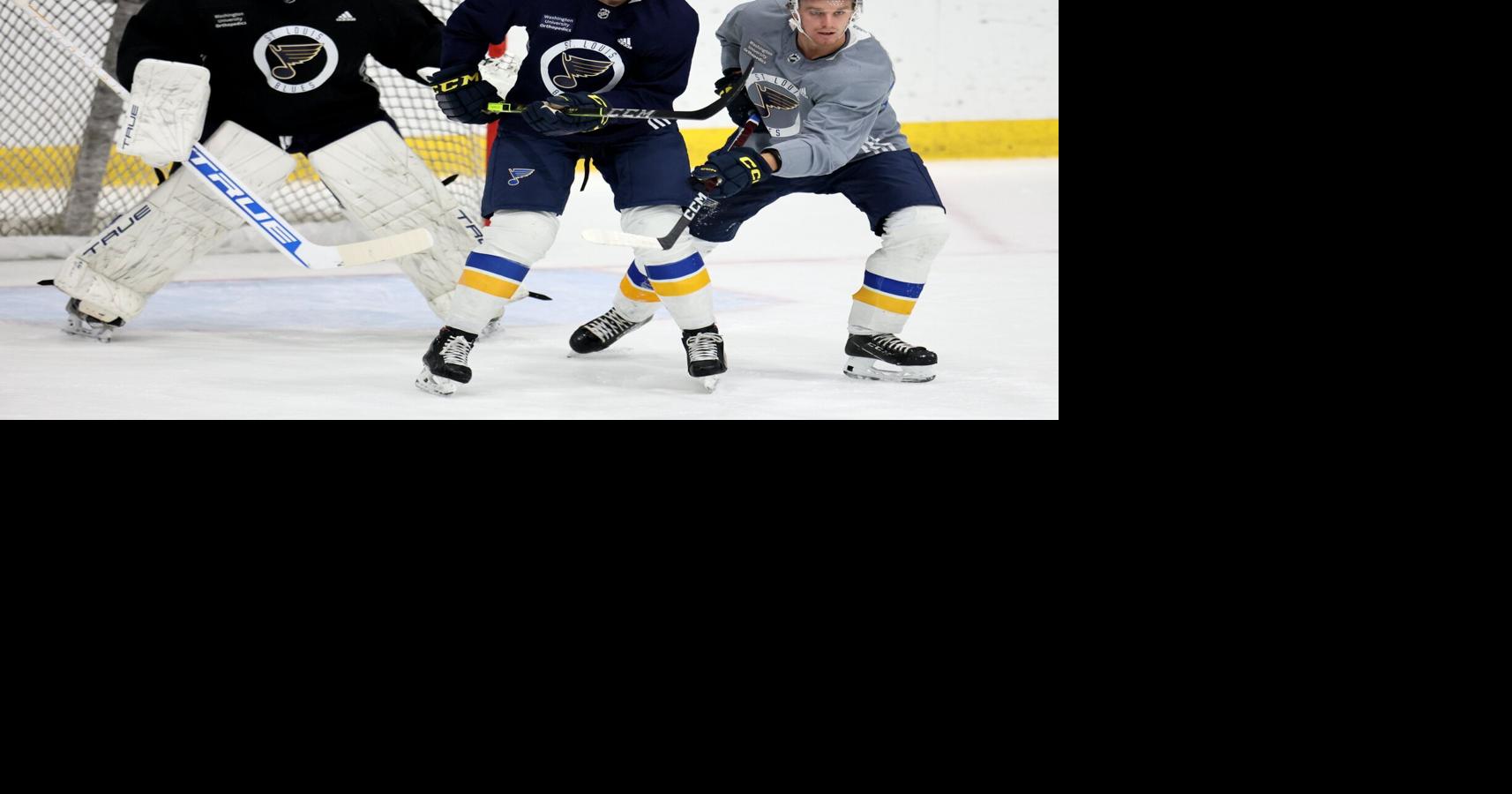 Defenseman Leo Lööf adjusting to North American hockey in first season ...