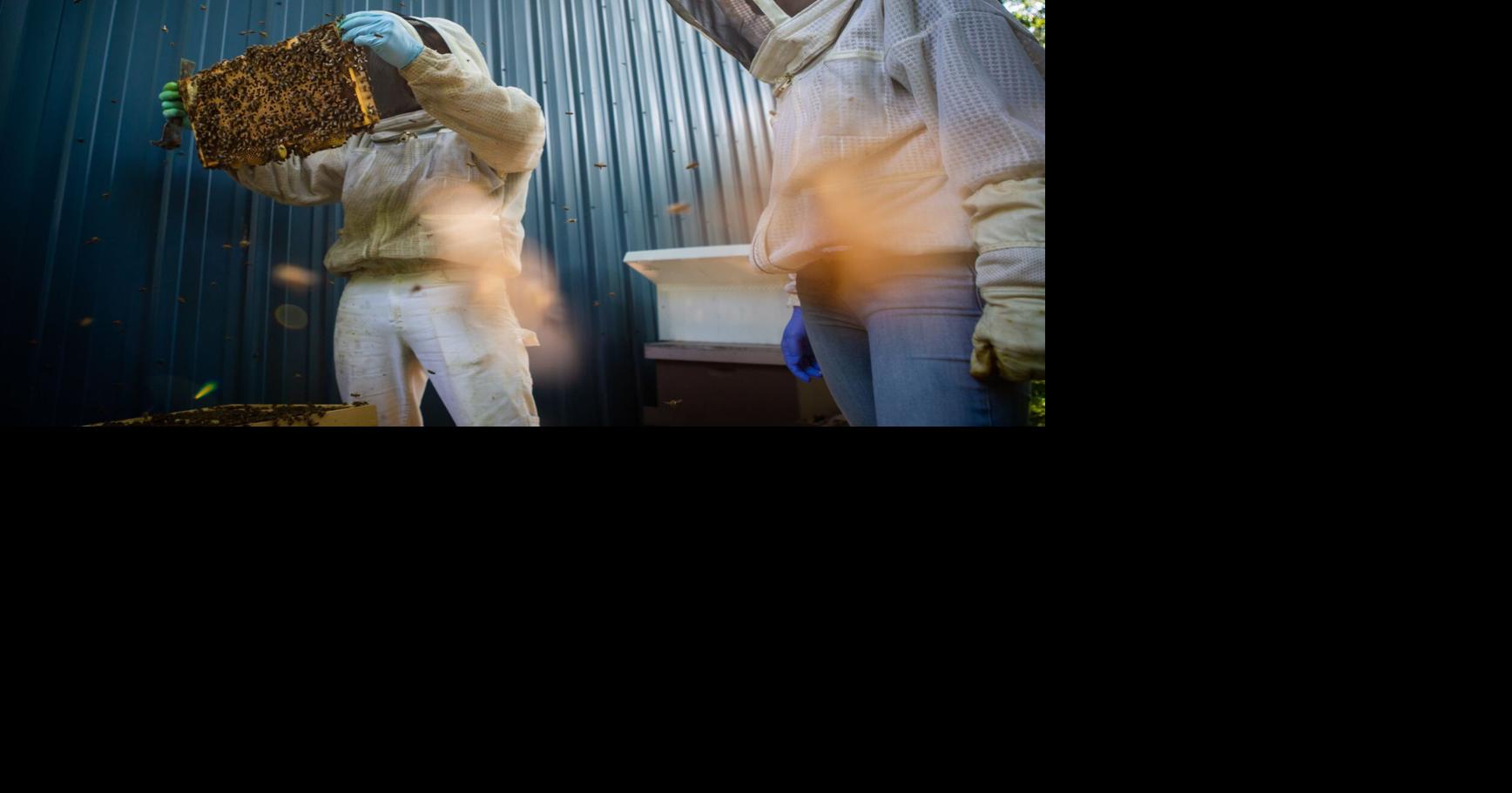 Beekeepers turn hobby into a honey-maker