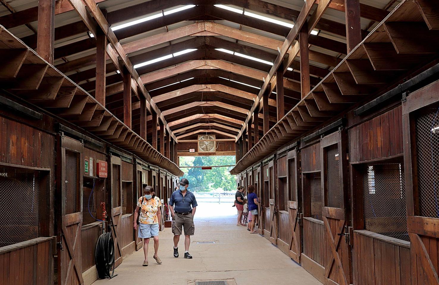 A guide to the cool, quirky, mysterious parts of St. Louis-area parks