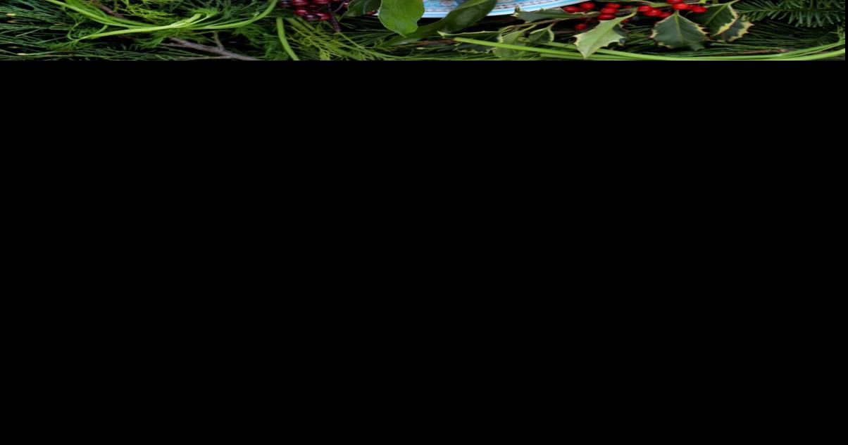 Gordon's Christmas Roast Goose