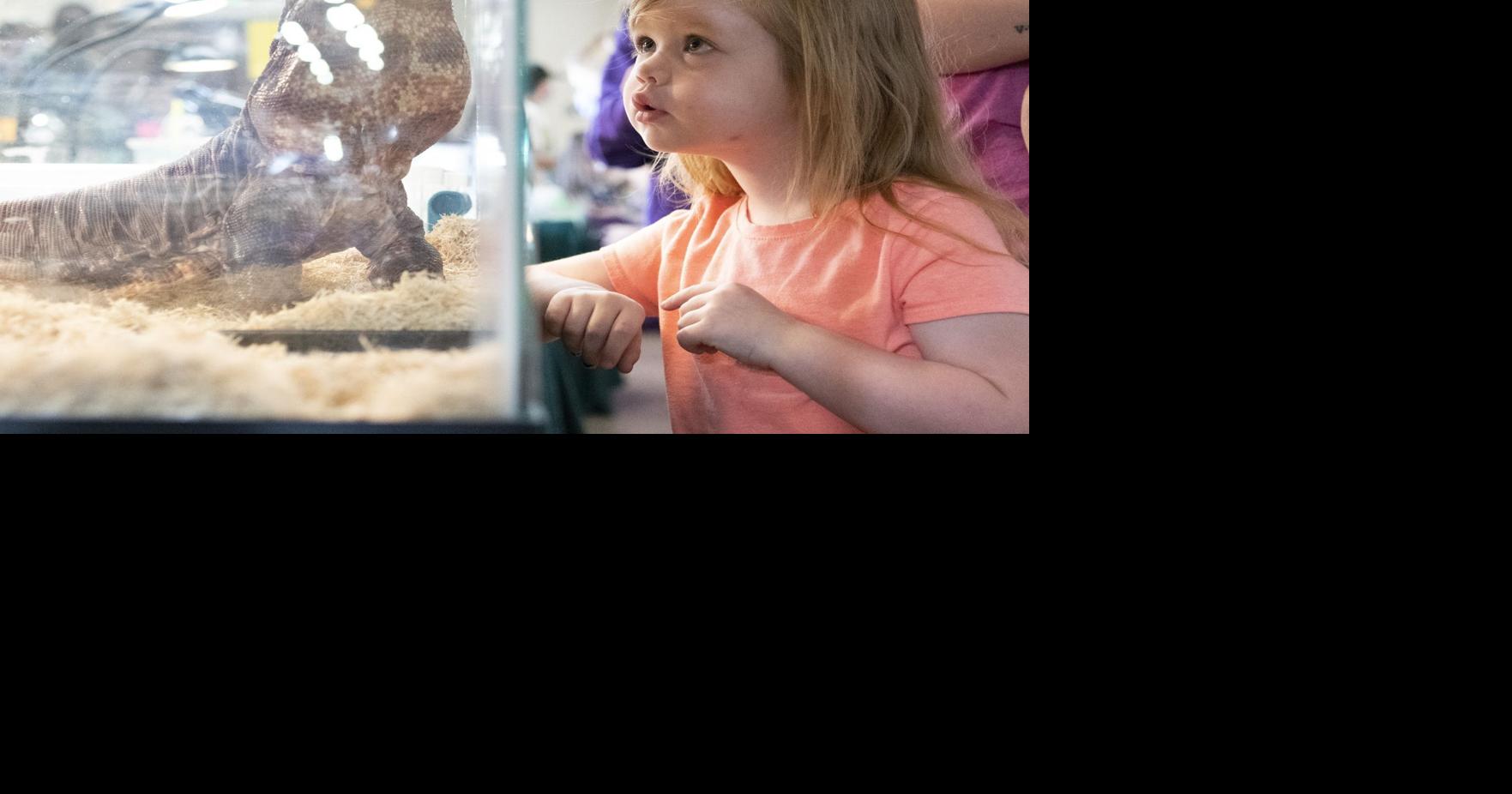 Photos: 'Show Me Snakes' reptile and exotics show held in Bridgeton