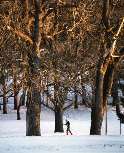 A look back • The big snow of 1982