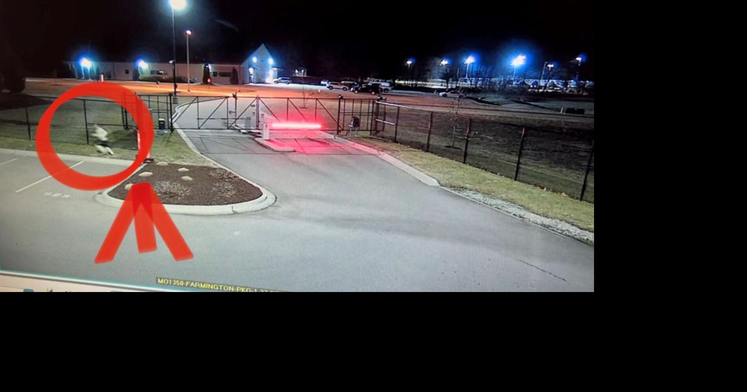 Five inmates at large after crawling through cell hole, escaping St ...