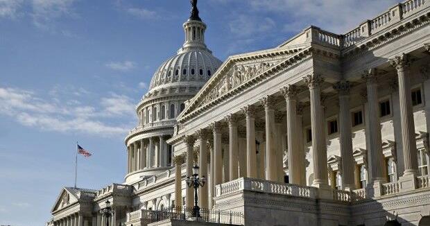 Letter: Congress has both the ability and the duty to rein in this madness