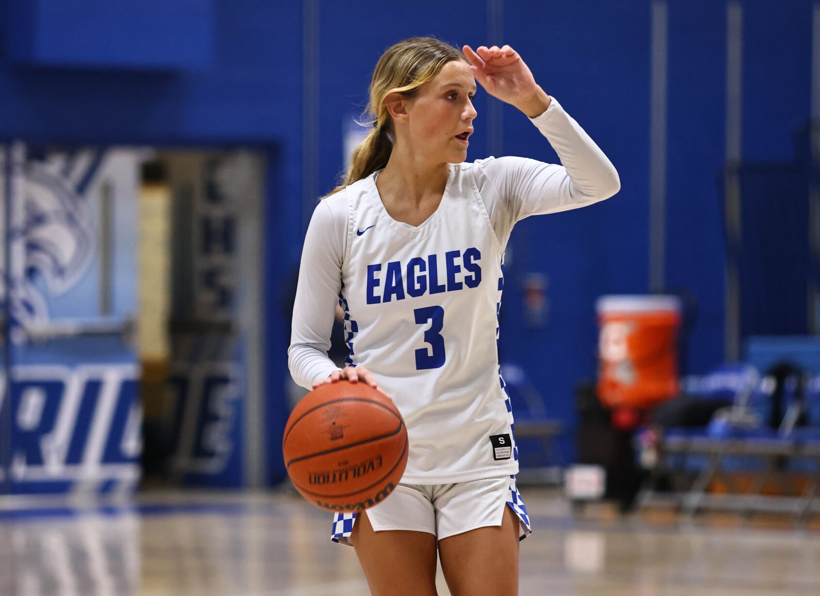 Columbia tops Red Bud behind Sam Schmuke's 35 points: Illinois girls ...