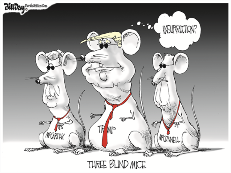 In the cartoons: Tulsa; Insurrection; Holocaust