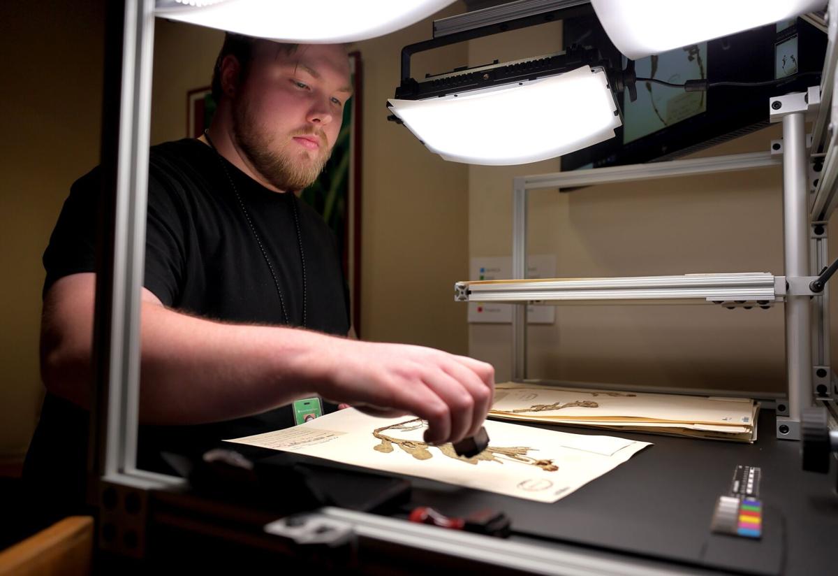 MoBot uses AI to save millions of plant specimens