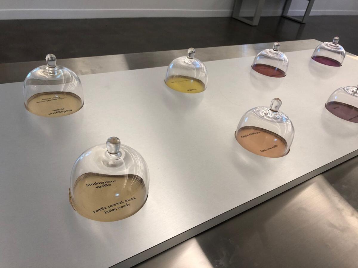 MoBot exhibit sniffs out the science behind plant aromas