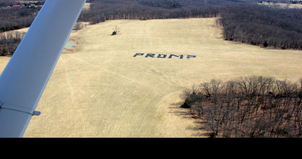 Promposal from a plane