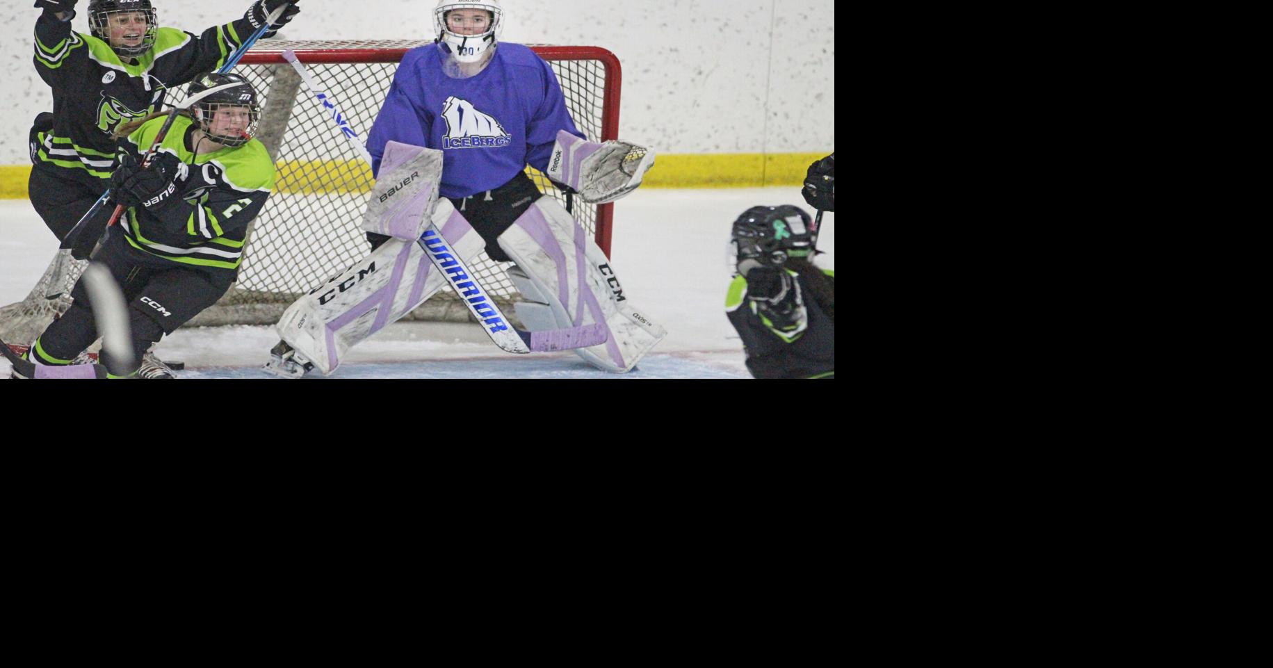 Girls hockey: Stoughton’s Icebergs’ regional rally comes up short ...