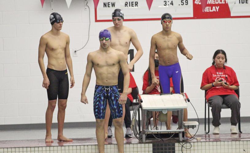 Boys swimming: How Evan Schmidt helped Stoughton to its best state ...