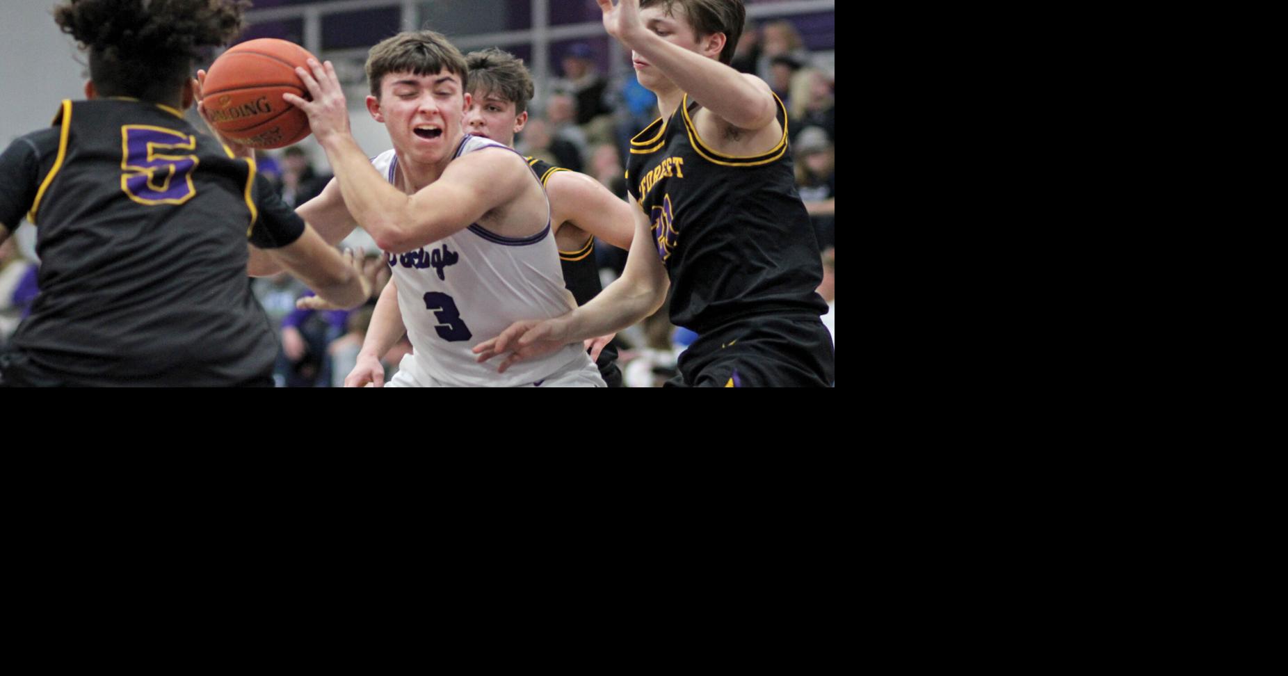 Boys basketball: Stoughton’s Ty Fernholz tabbed as Badger East’s Player ...