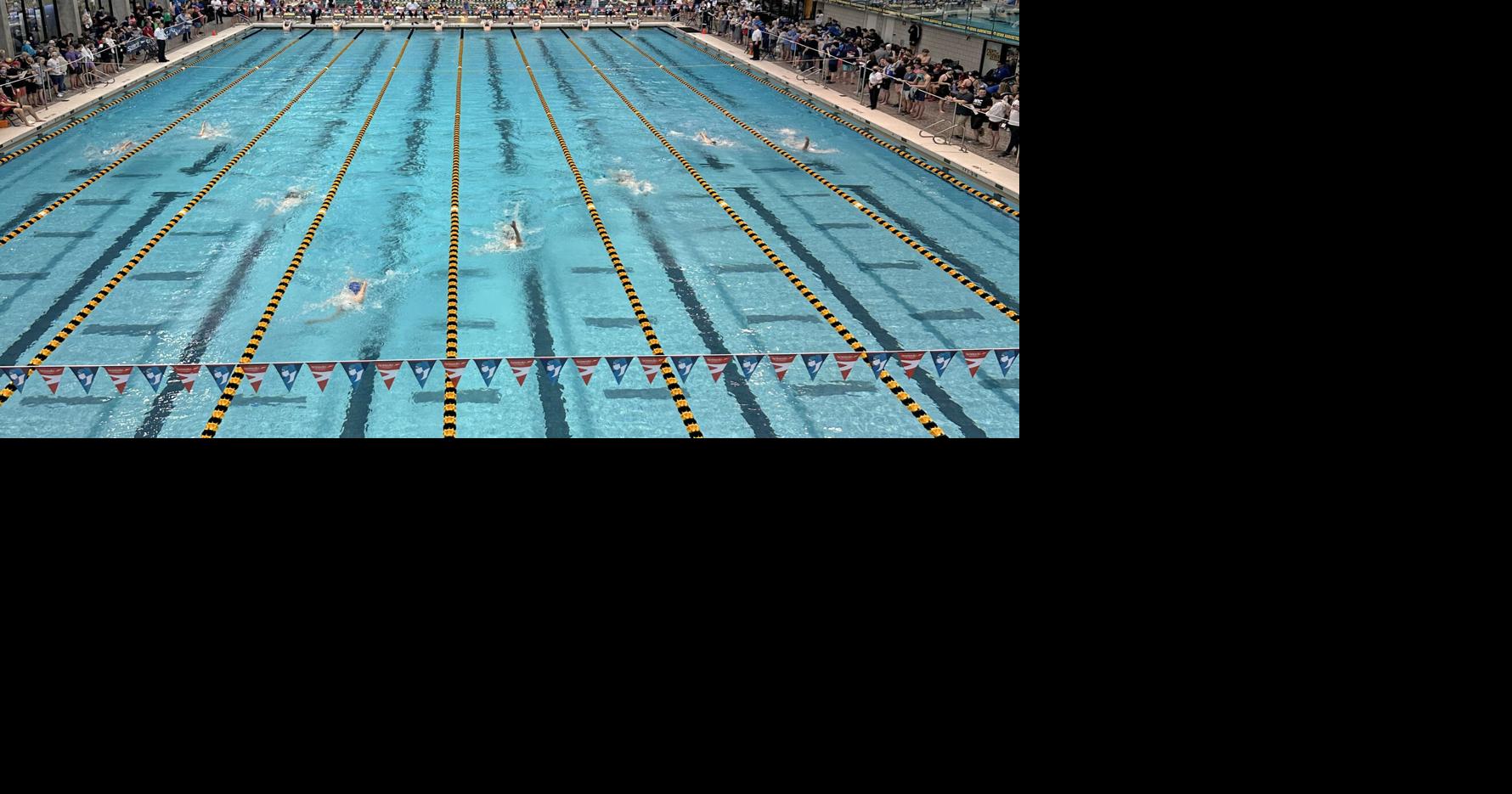 Boys swimming: Stoughton trio competes at Speedo Sectionals | Sports ...