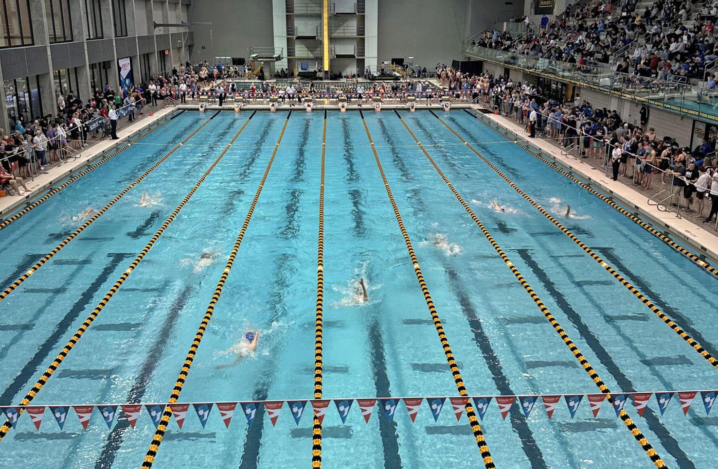 Boys swimming: Stoughton trio competes at Speedo Sectionals | Sports ...