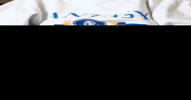 Arlene Larson | Obituaries | stoughtonnews.com