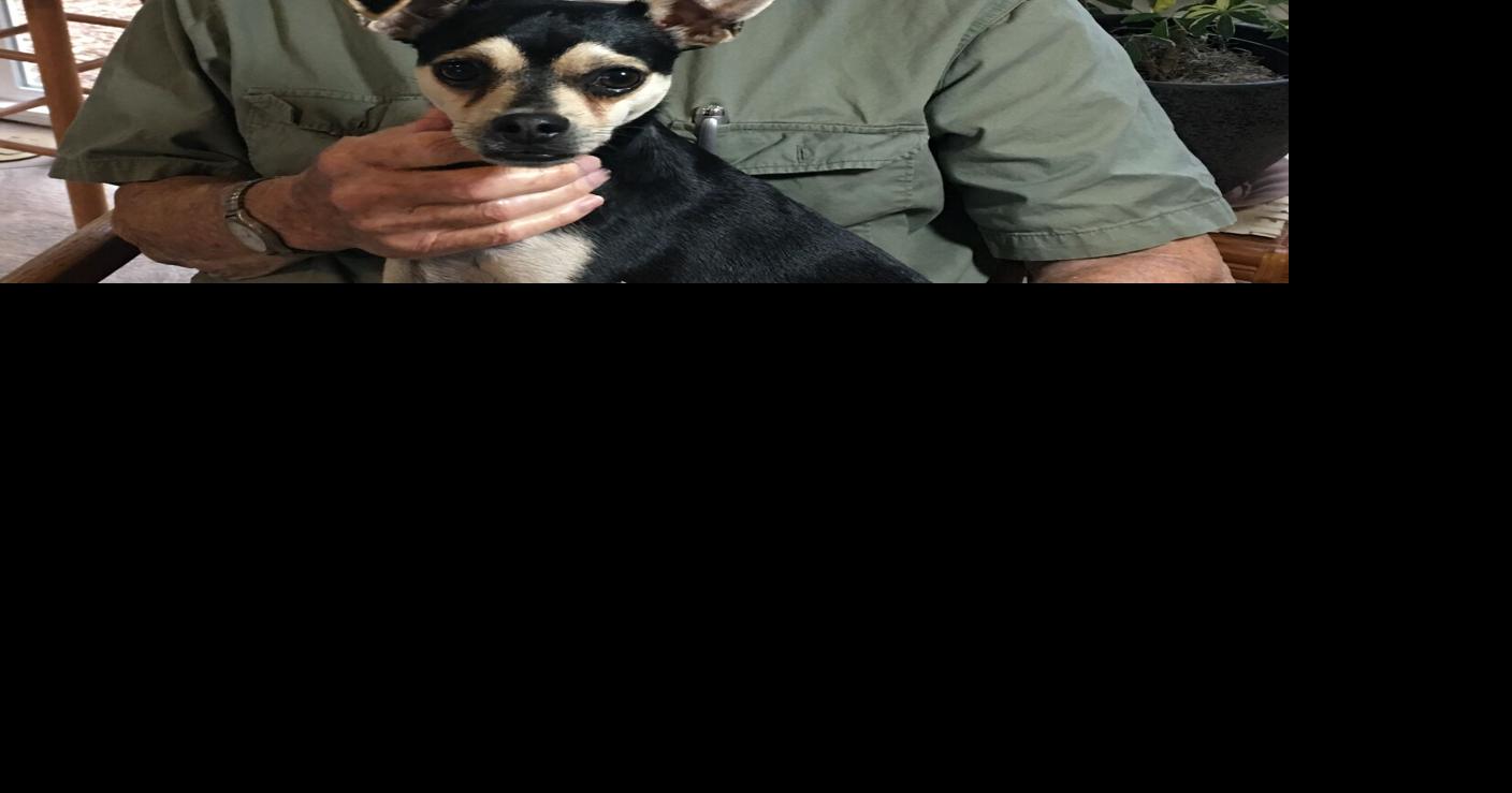 David Truman (Trueman) Cuff | Obituaries | stoughtonnews.com