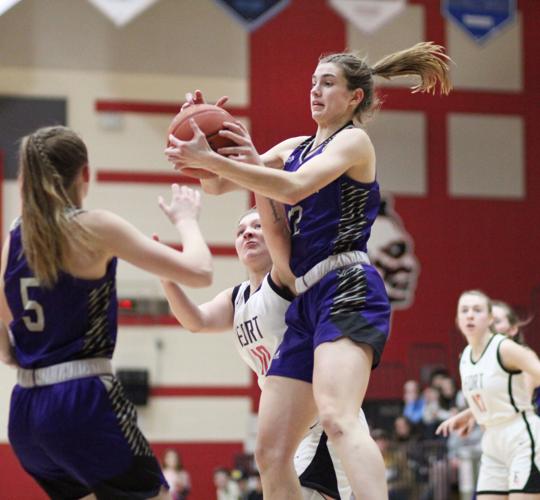 Girls basketball: Stoughton nearly rallies past Fort Atkinson behind ...