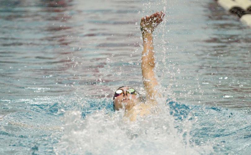 Boys swimming: How Evan Schmidt helped Stoughton to its best state ...