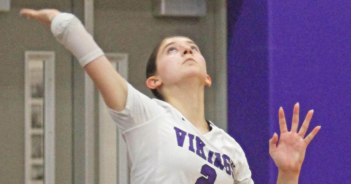 Elizabeth Stokes | | stoughtonnews.com