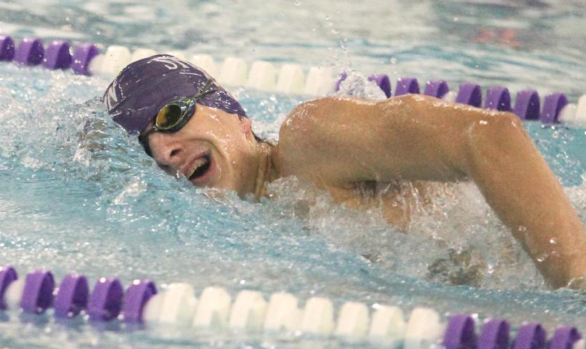 Boys swimming: Schmidt shines in distance events | Sports ...