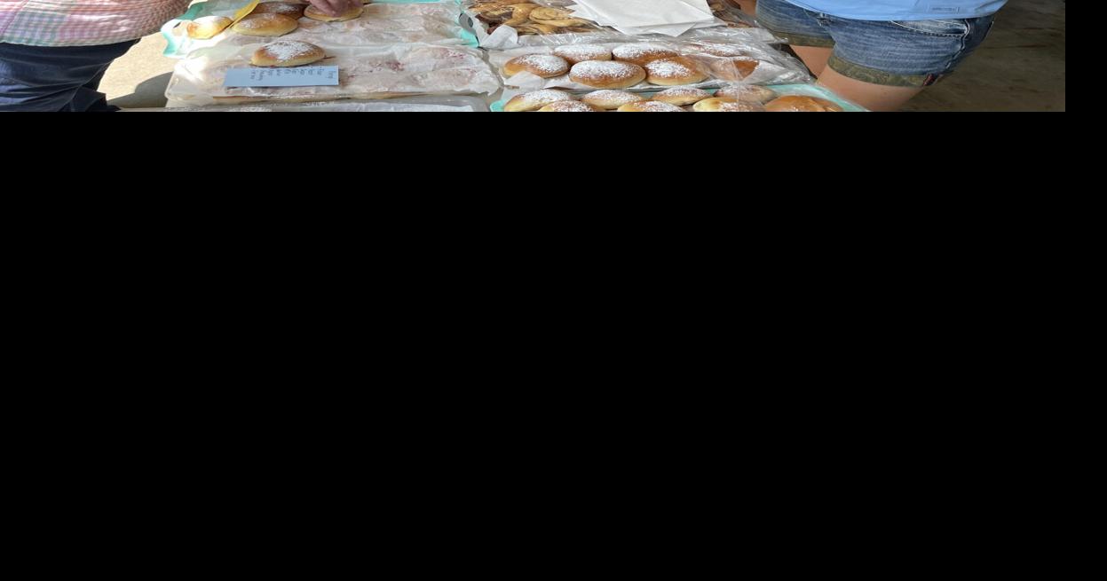 Community welcomes new neighbors at picnic | Community | stoughtonnews.com