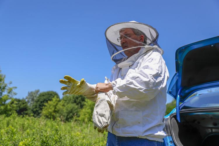 City attorney still reviewing details of plan to allow bees | Local ...