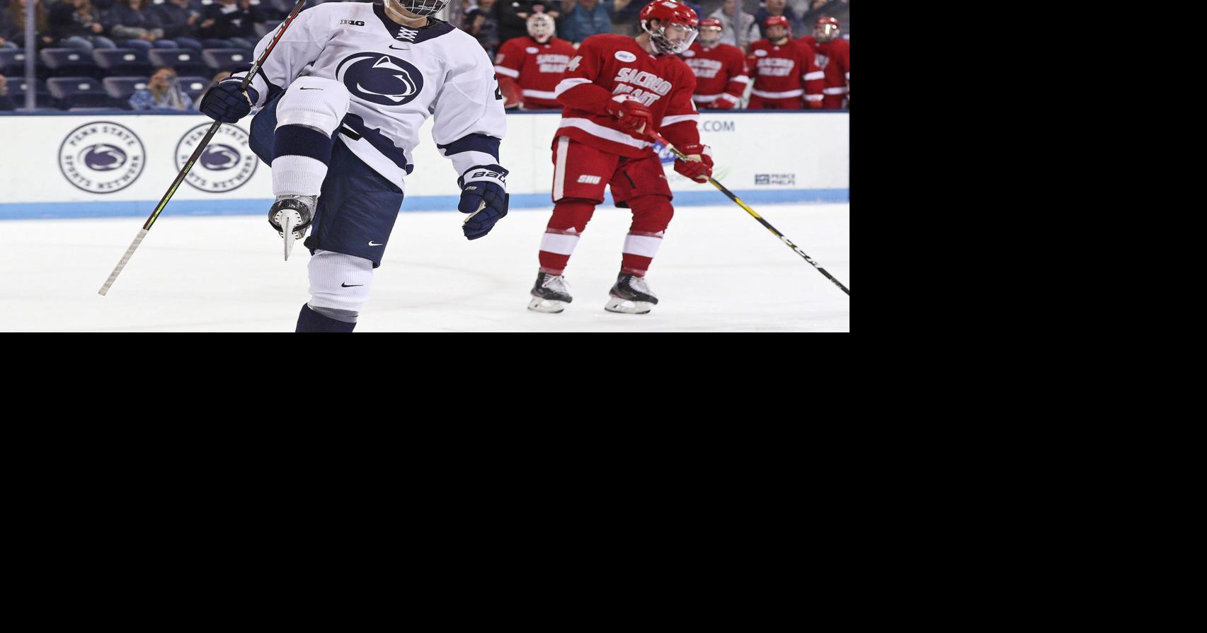 Hockey: SHS grad sweeps Big Ten honors | Sports | stoughtonnews.com