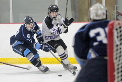 Boys hockey: Hlavacek, Hellenbrand earn second team honors | Sports ...
