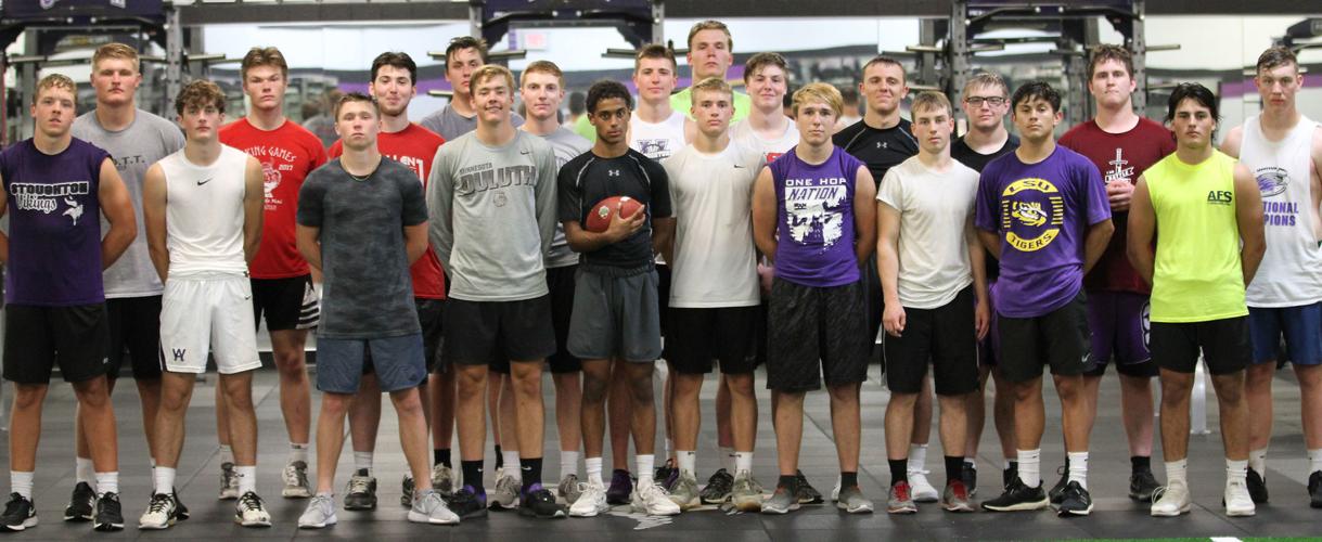 Football: Experience creates big expectations for Vikings | Sports ...