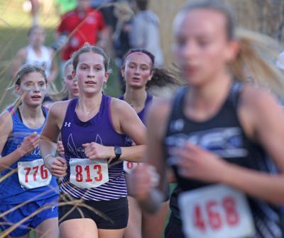 Girls cross country: Emelia Hopper pushes Stoughton to eighth at ...