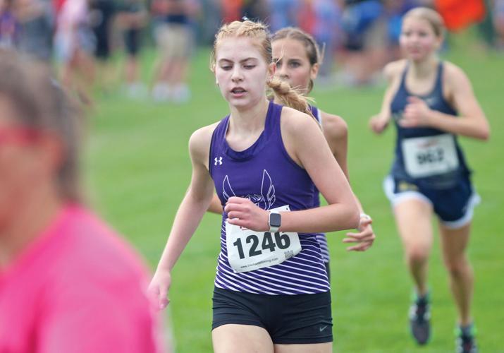 Girls cross country: Stoughton takes seventh at Glenn Herold ...